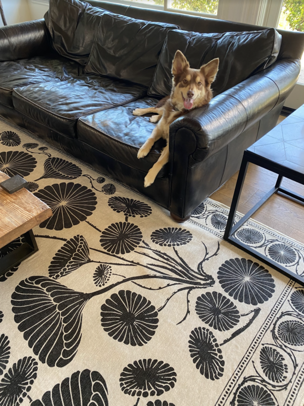 Is Ruggable actually worth the hype? I bought one and found out ...